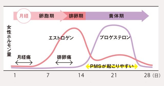 20～30代の多くが悩んでいる【PMS】って何で起こるの？｜症状や仕組み、治療法など詳しく解説 | 美的.com